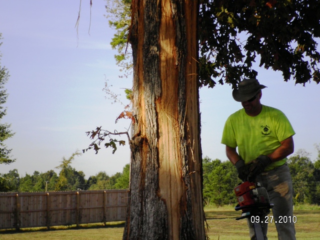 All Pro Tree Service | Cypress Lake - Benton, LA - September 2010 ...